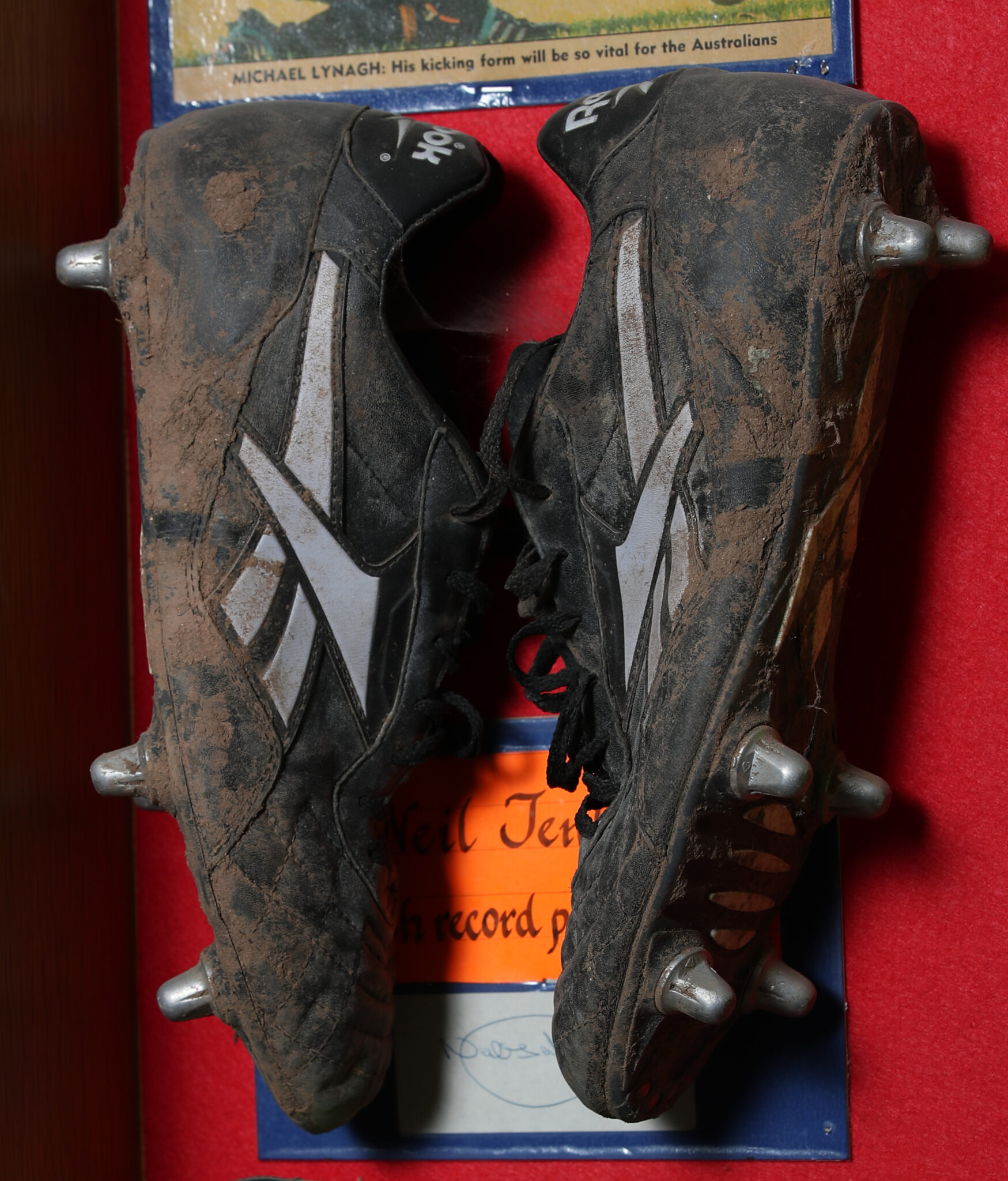 Neil Jenkins - Carmarthen Athletic Museum
